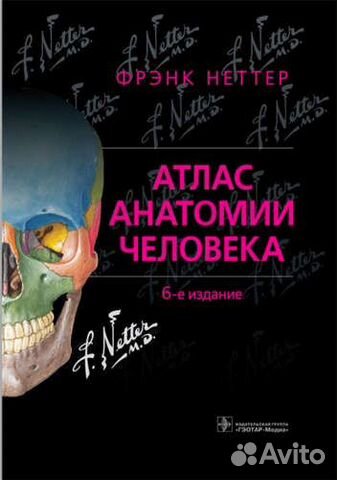 Продам книгу Атлас анатомии человека. Неттер 6 издание. Это... купить в ...