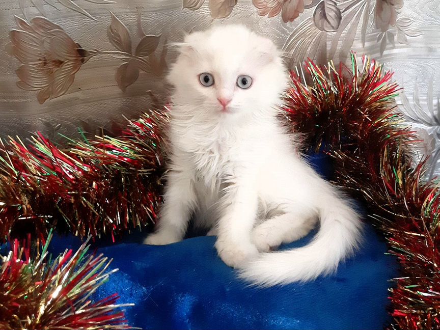 Голубоглазый Снеговичок