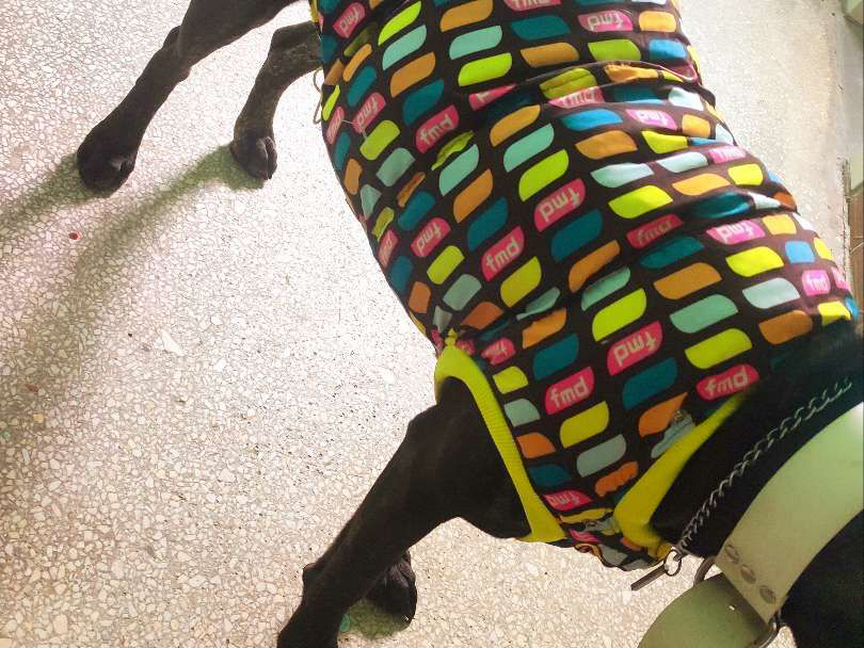 Зимняя попона/одежда для собак