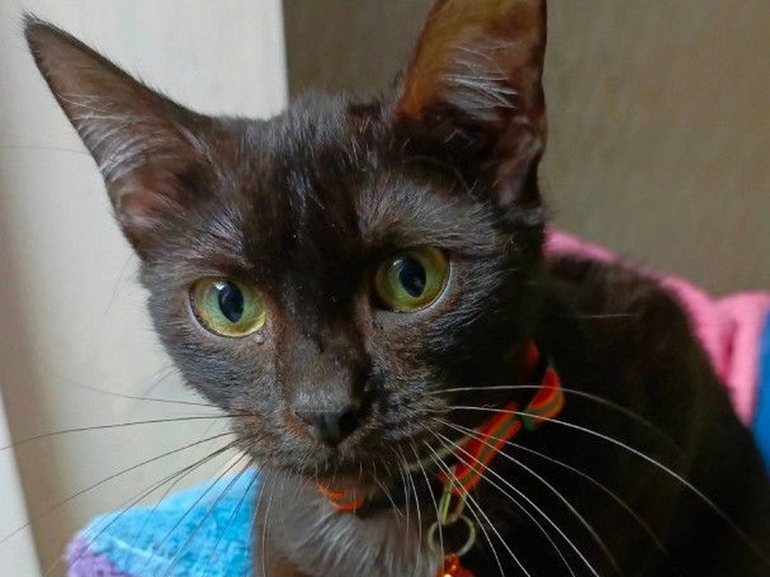 Молоденькая девочка