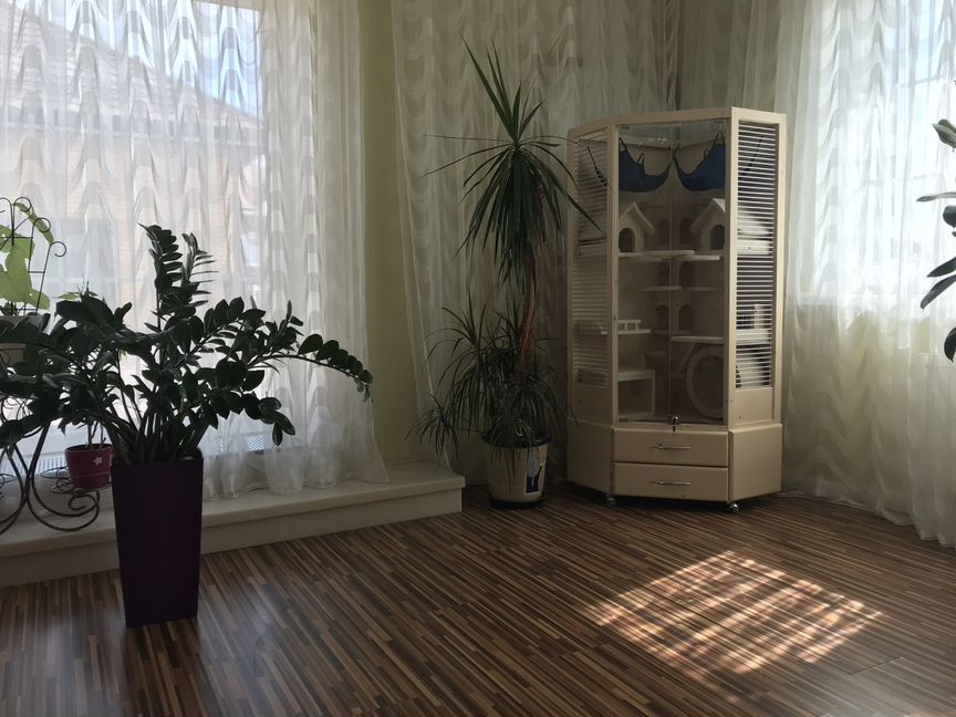 Витрина для шиншилл "Гавайи-2" 70*70*165см