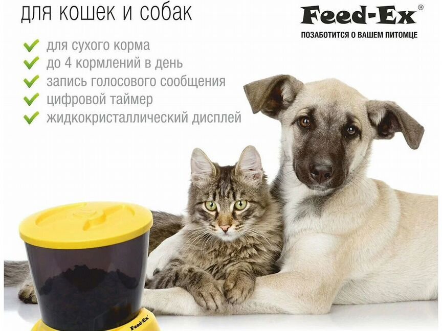 "Feed-Ex" для кошек и собак