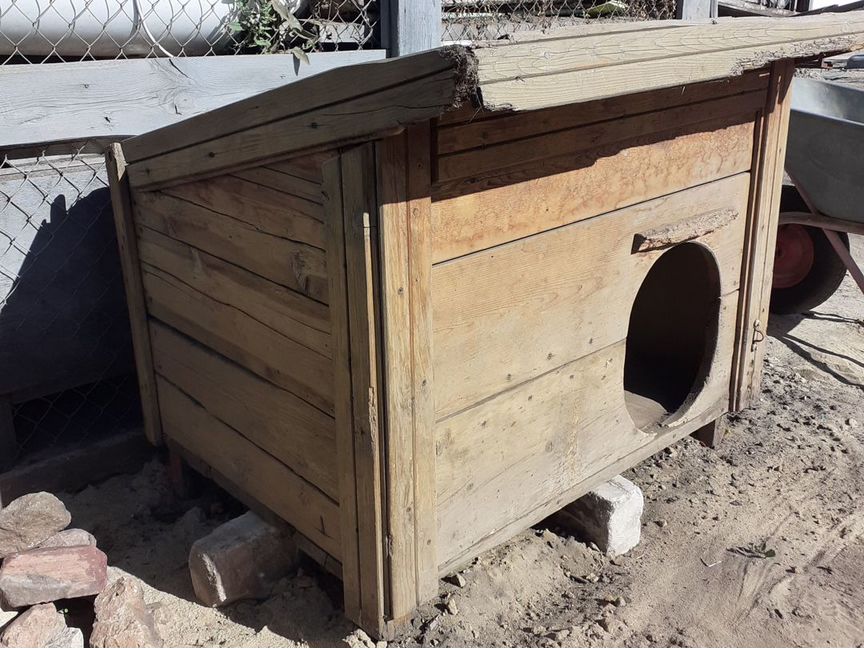 Собачья будка