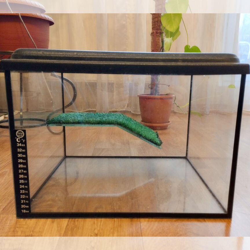 Акватеррариум