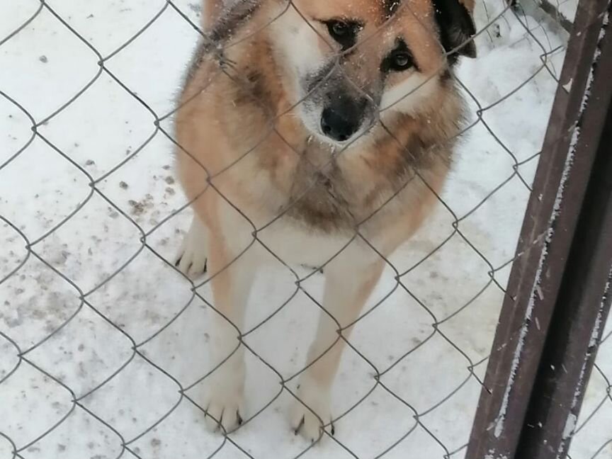 Начни год с добрых дел