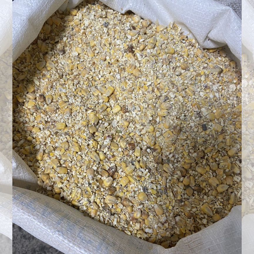 Кукуруза колотая