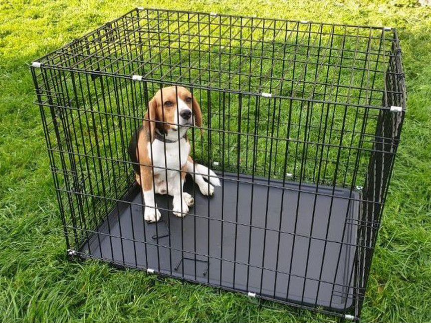Клетка для собаки 4