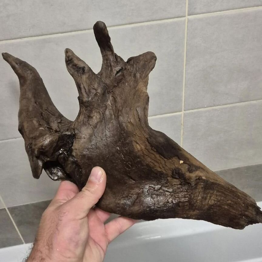 Коряги для аквариума