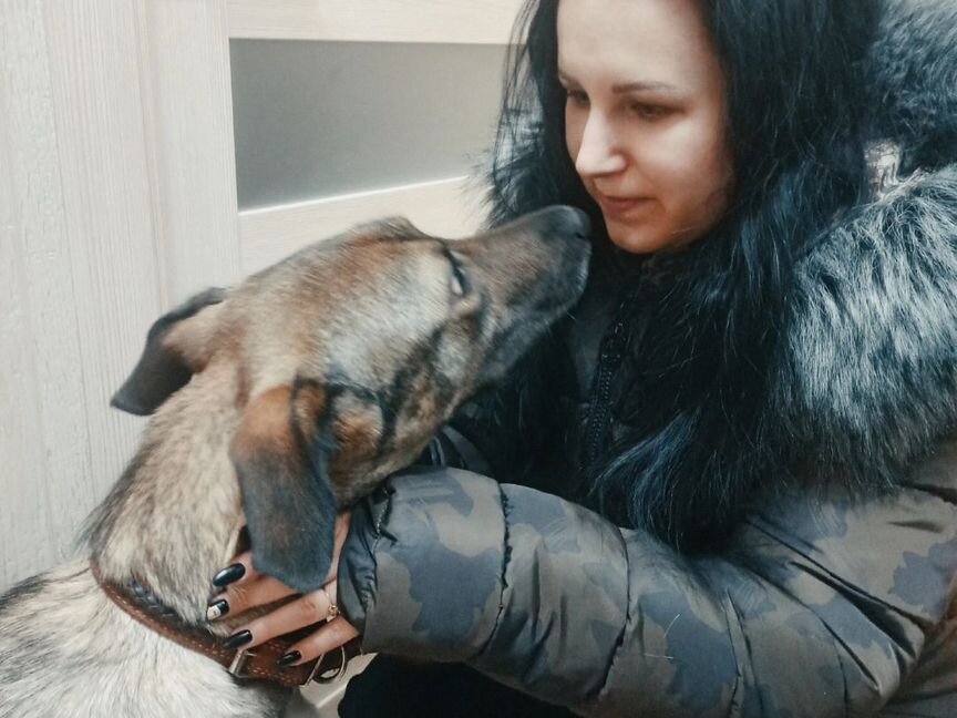 Собака Лада в добрые руки