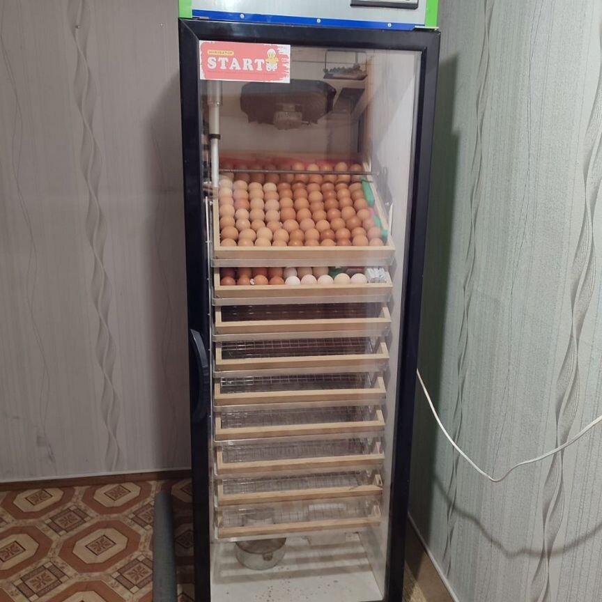 Инкубатор на 1000 яиц