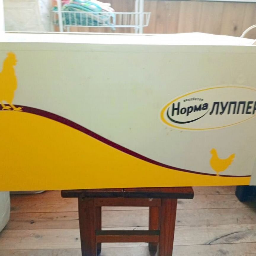 Инкубатор