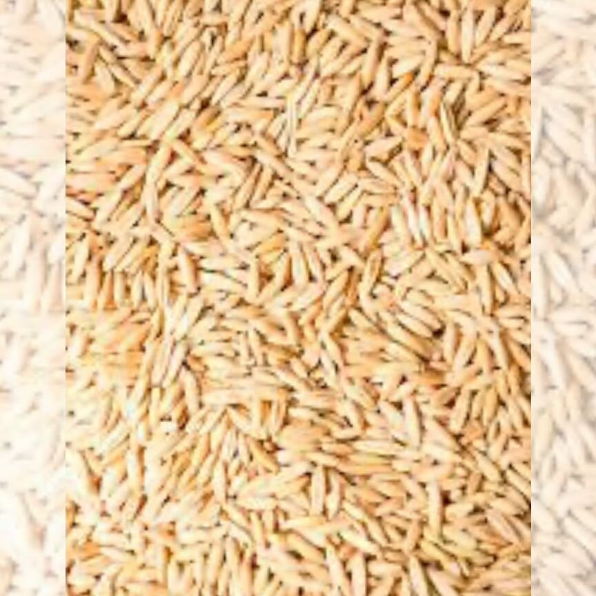 Овес