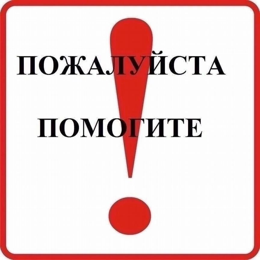 Помогите найти собаку
