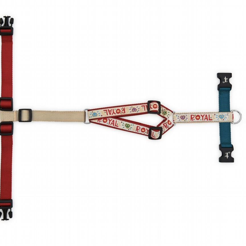 Шлейка для маленькой собаки