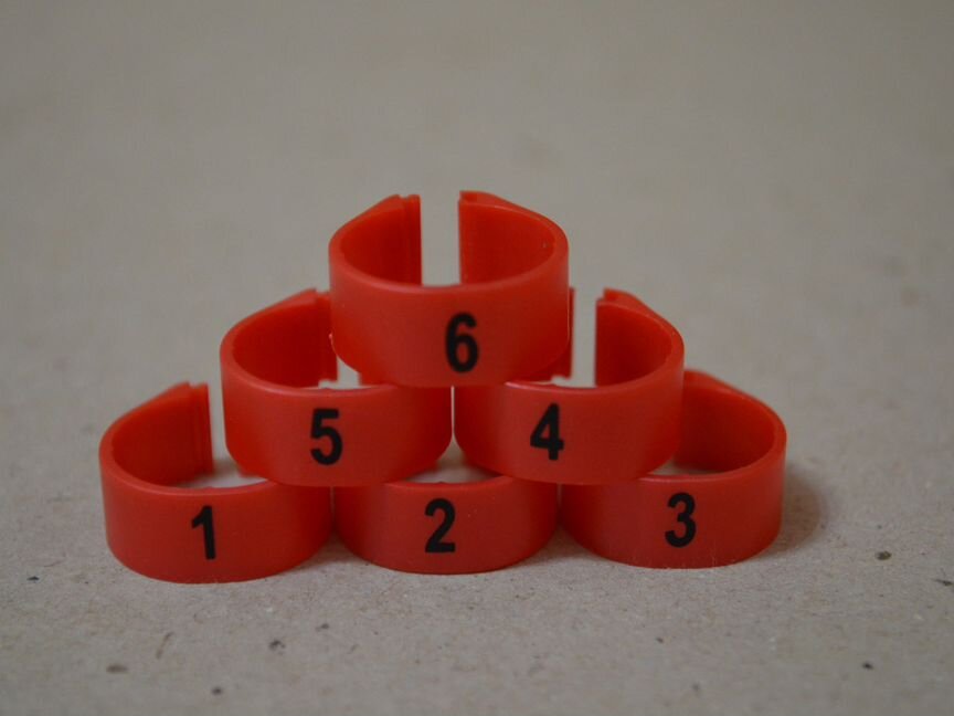 Кольца для голубей 14 мм