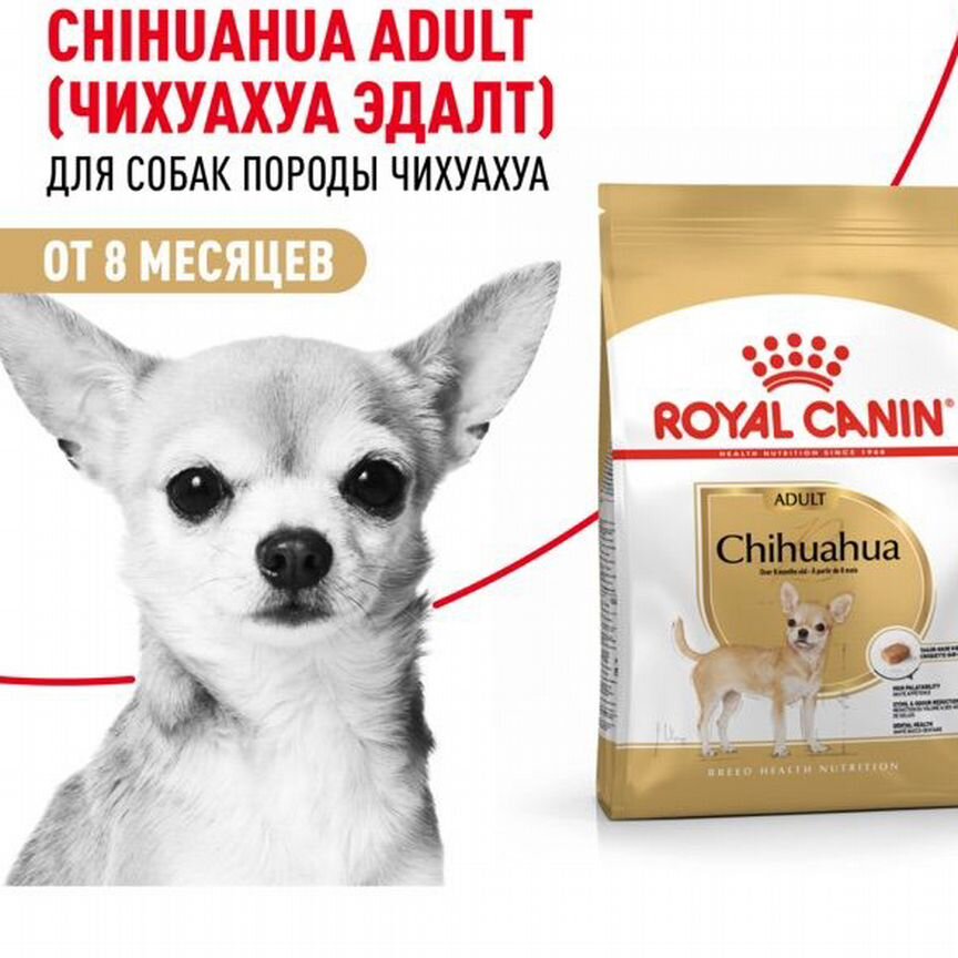 Сухой корм для Чихуа