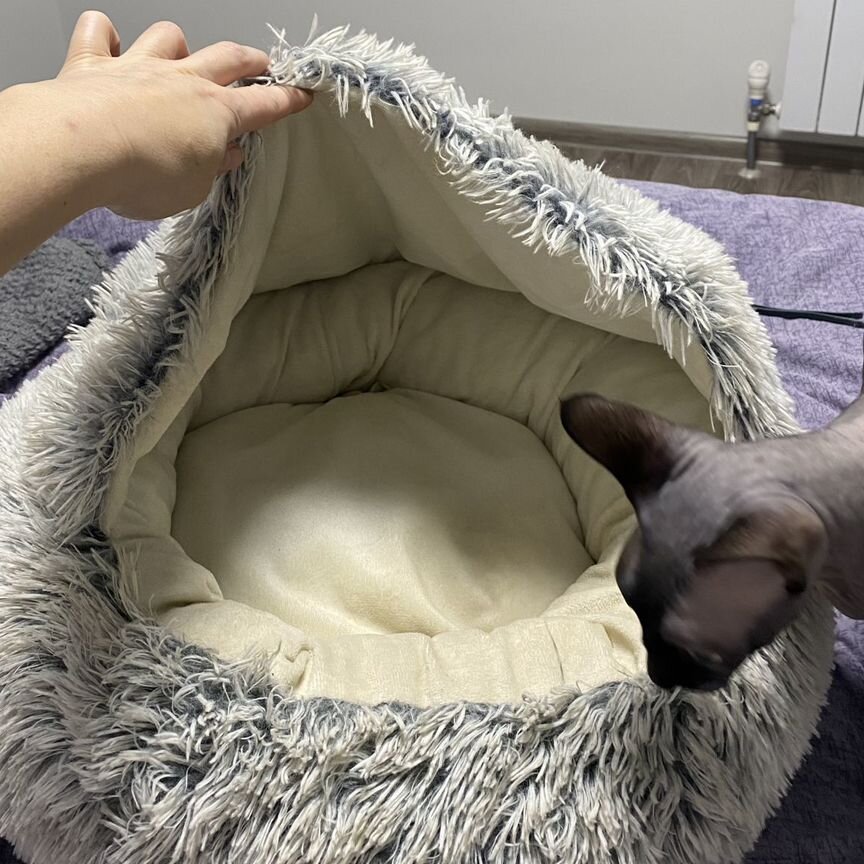 Домик лежанка для кошки и собаки б/у