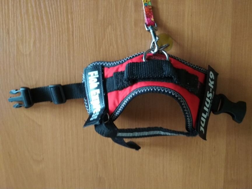 Шлея - упряжка для прогулок с животными