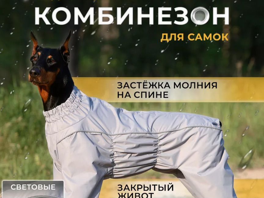 Комбинезон дождевик для собаки средних пород