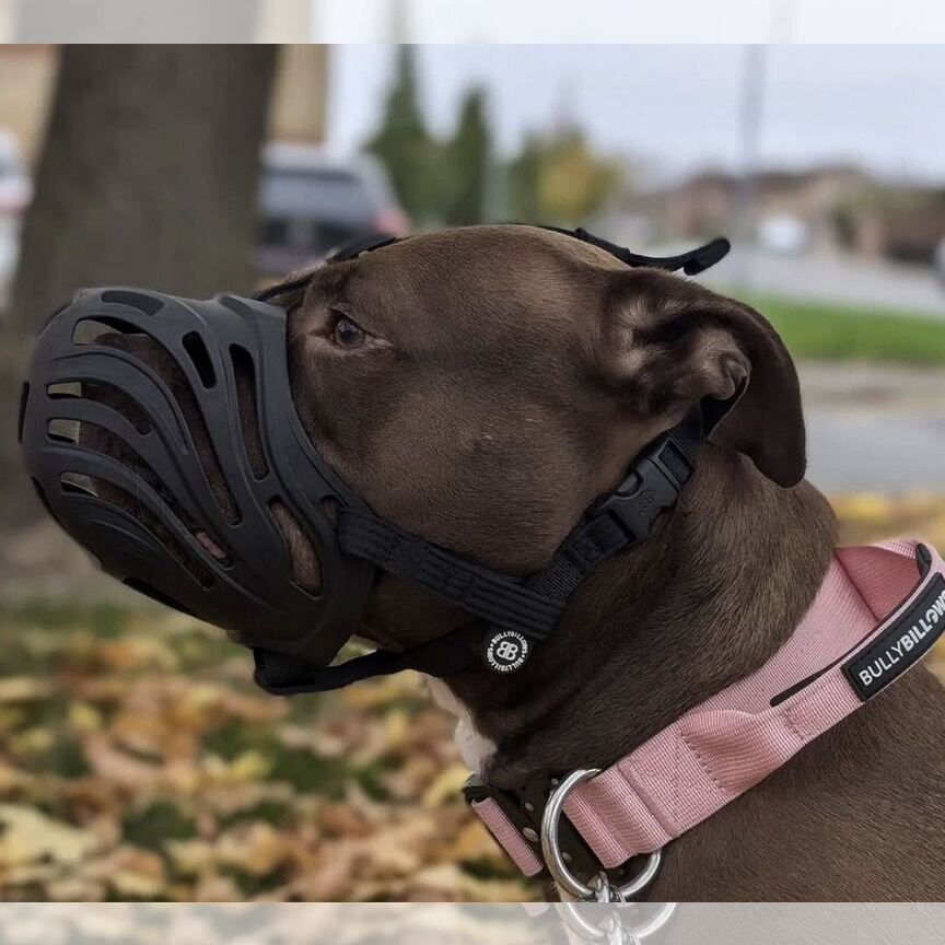 Намордник Bullybillows