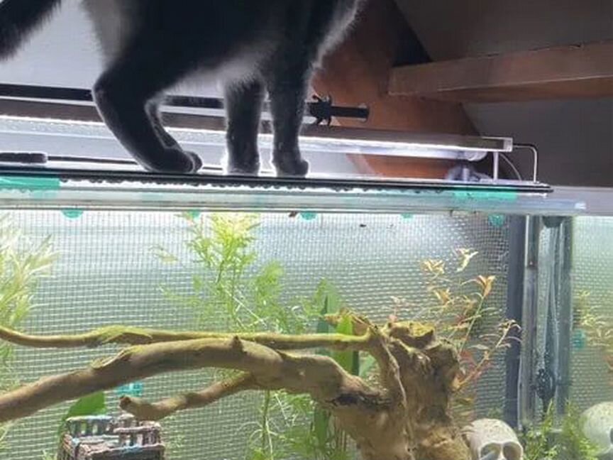 Аквариум 250 л