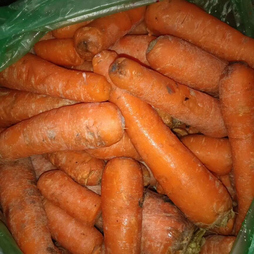 Продукты с подходящим сроком.для животных