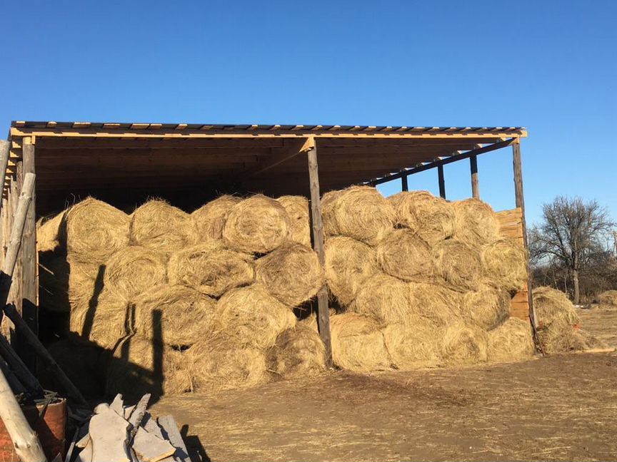 Сено степное разнотравие