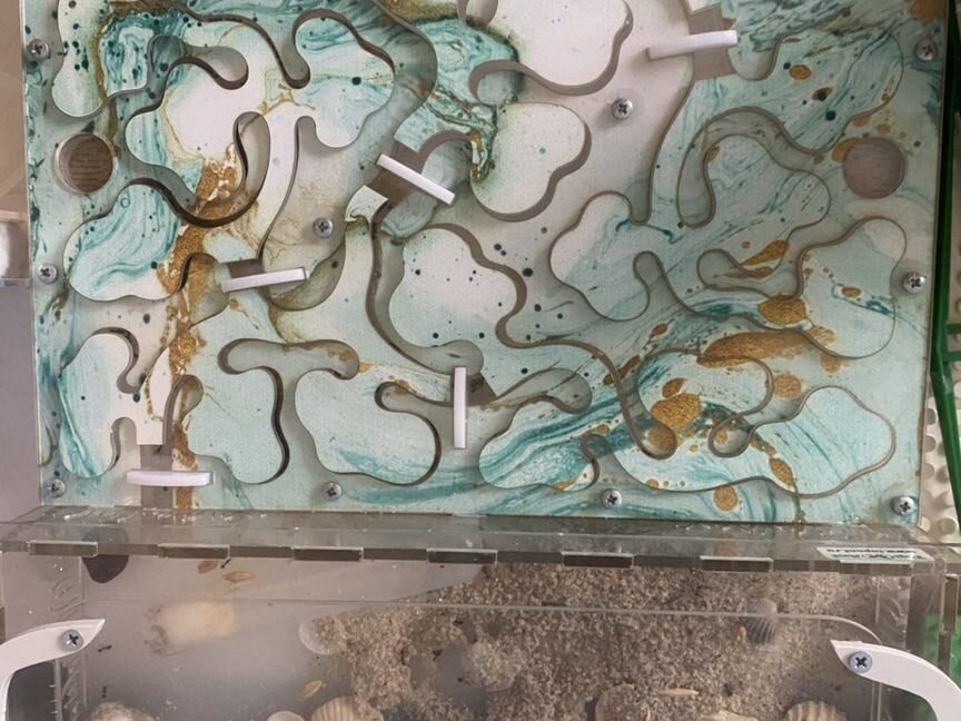 Продам формикарий