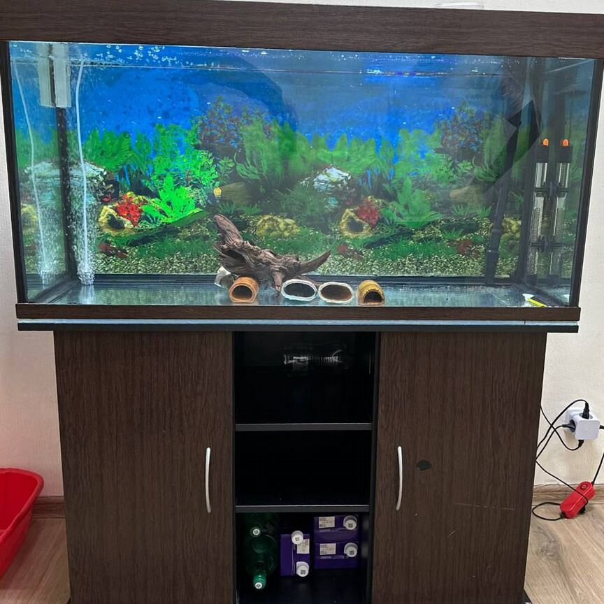 Аквариум, рыбы