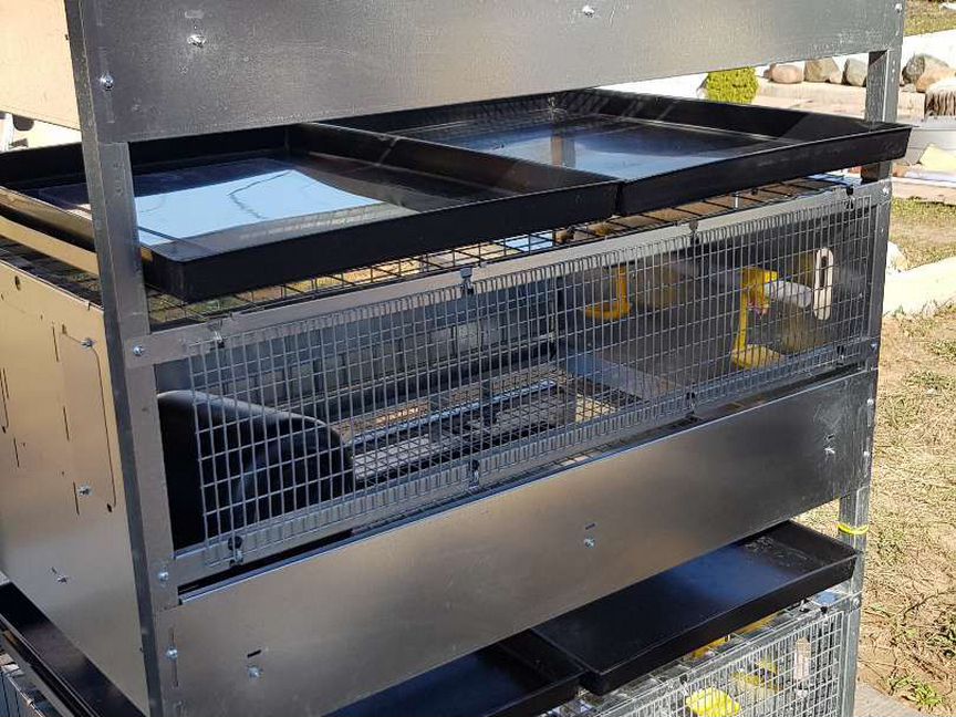 Брудер и клеточная батарея