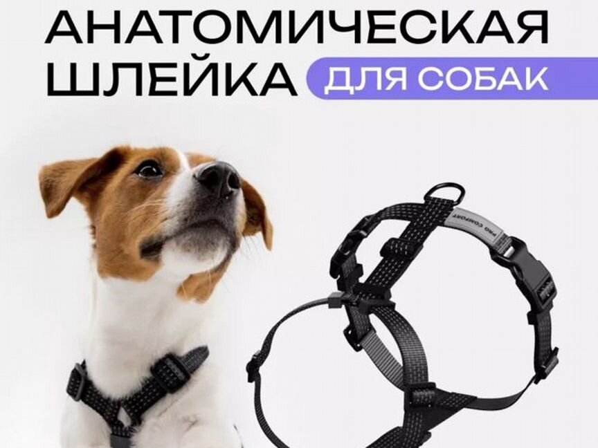 Шлейка для собаки анатомическая