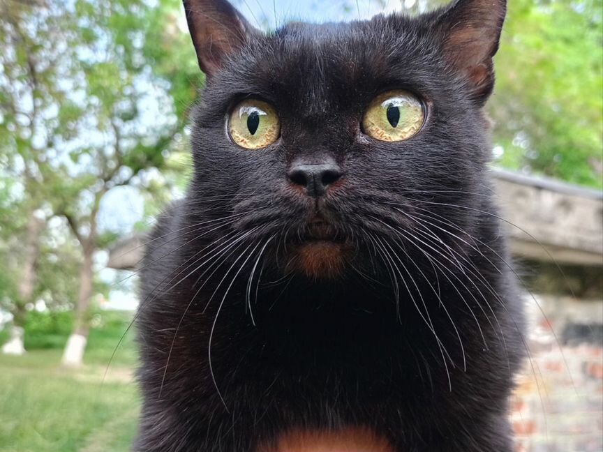 Люсенька ищет маму