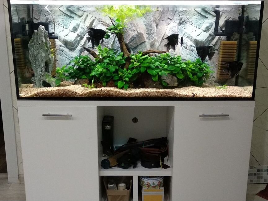 Аквариум с тумбой. Аквариумный комплекс. Аквариум