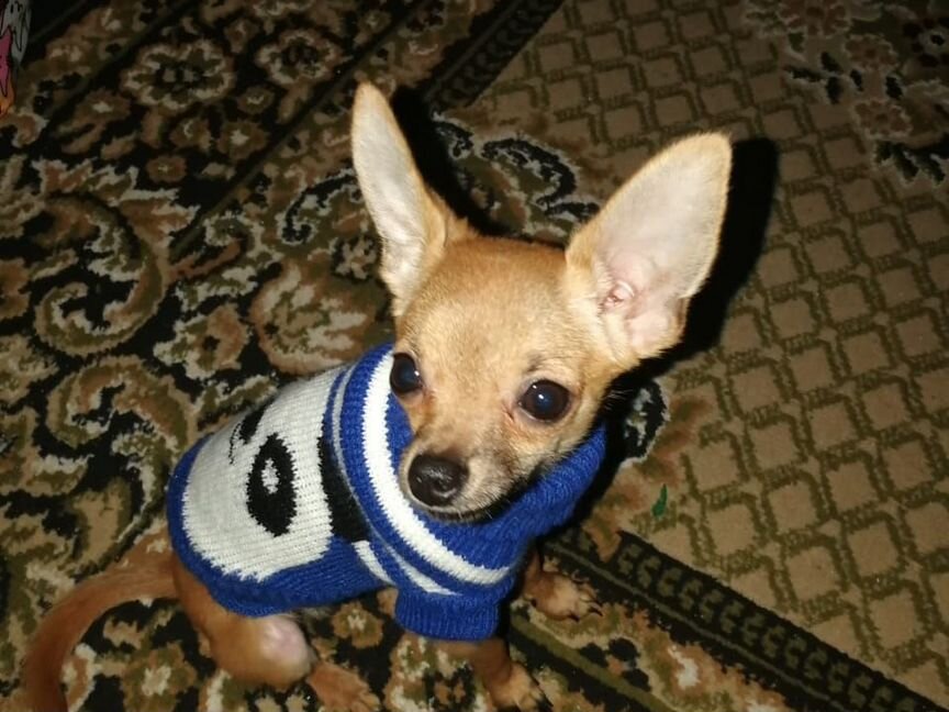 Мальчик с пальчик для вязки