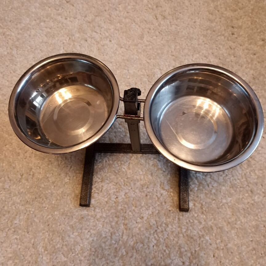 Поилка когтерезка намордник шлейка лежанка собак