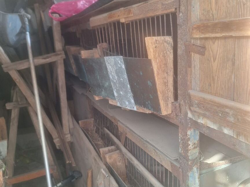 Кролятники