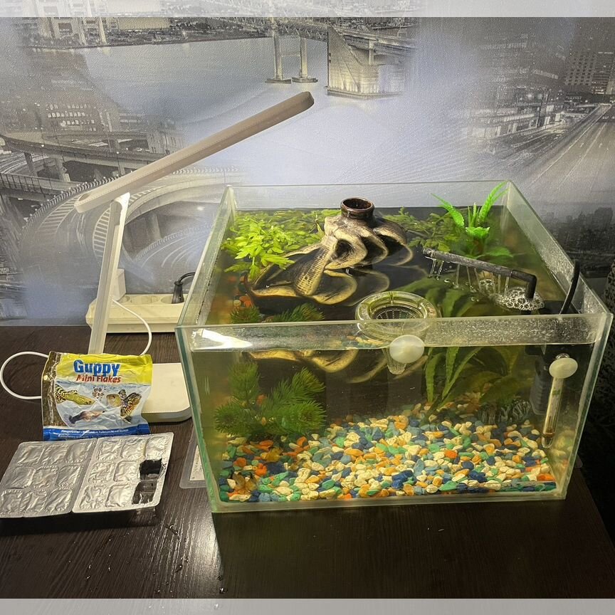 Аквариум с рыбками 30 литров