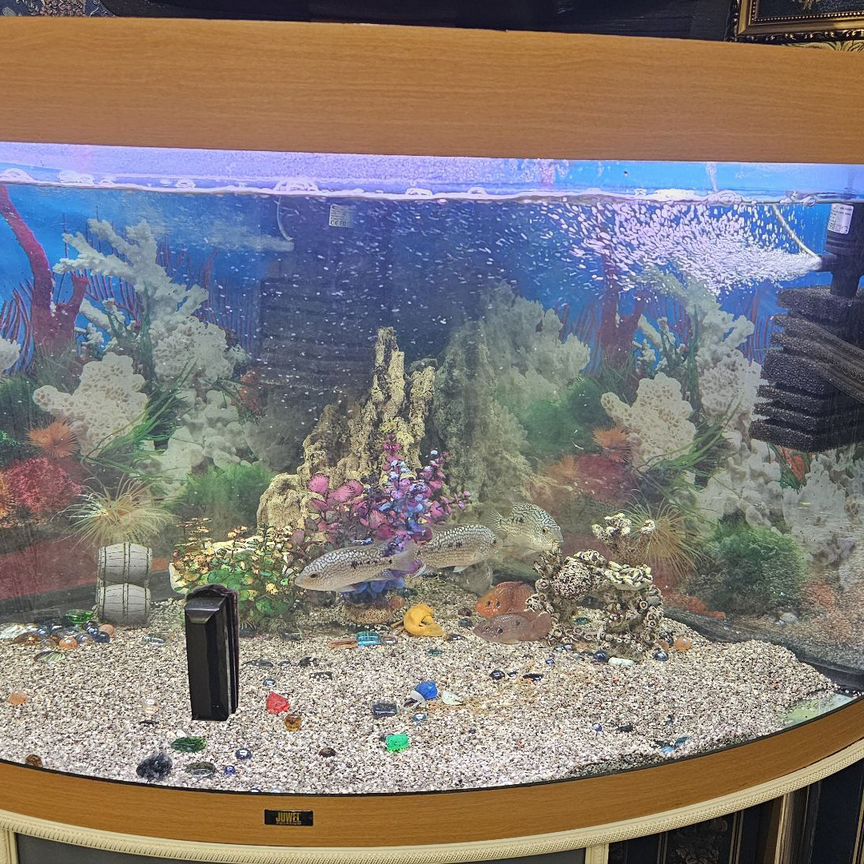 Аквариум 350л