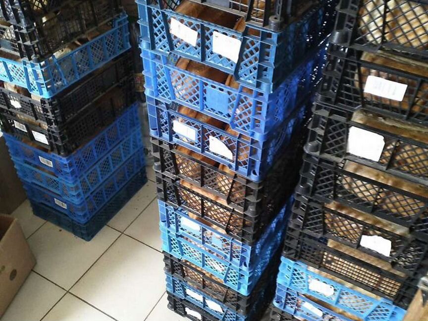 Сухари пшеничные