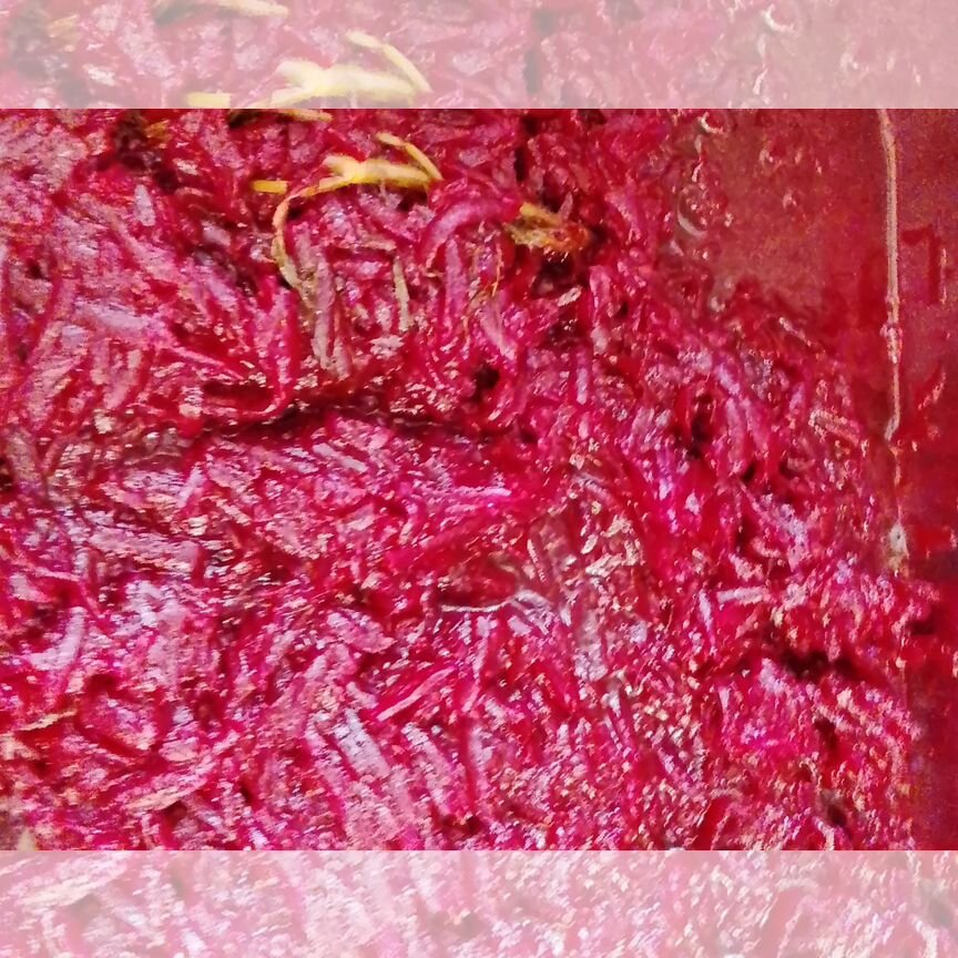 Пищевые отходы