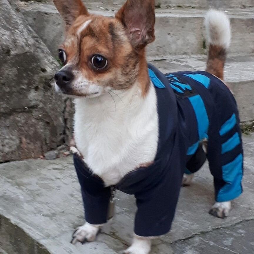 Спортивный костюм