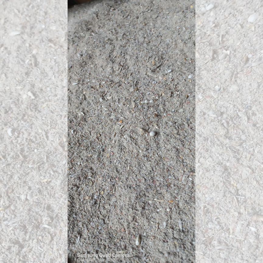 Мучка в мешках (пшеница,ячмень,соя,кукуруза и тд)