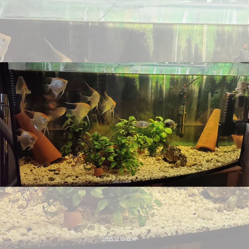 Аквариум на 350 л полный комплект