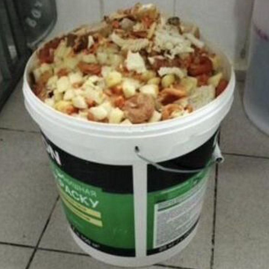 Пищевые отходы для животных бесплатно