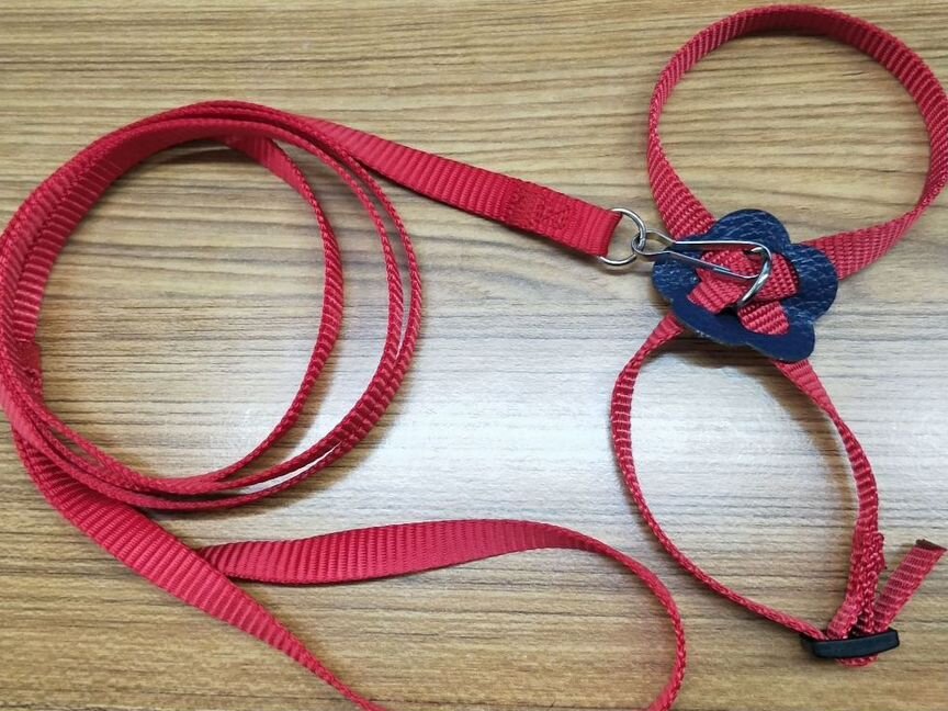Шлейка для мелких животных