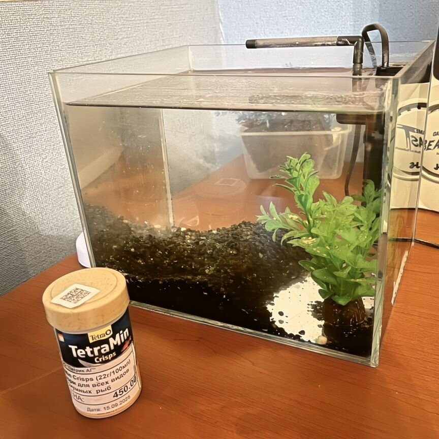 Отдам в хорошие руки Рыбок с аквариумом