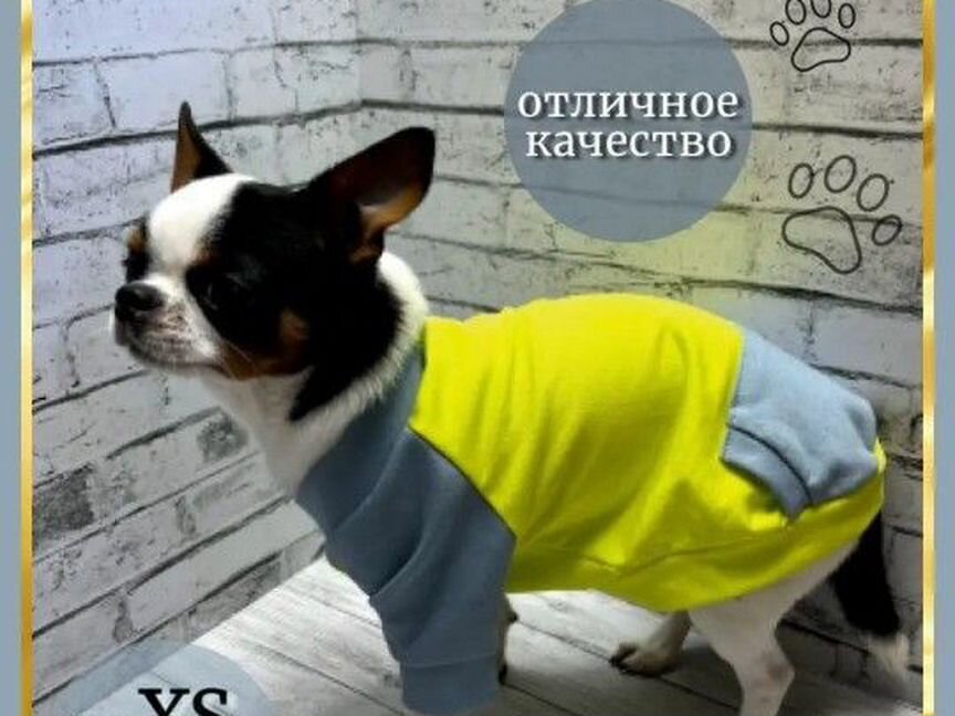 Одежда для собак, Кофта, Толстовка