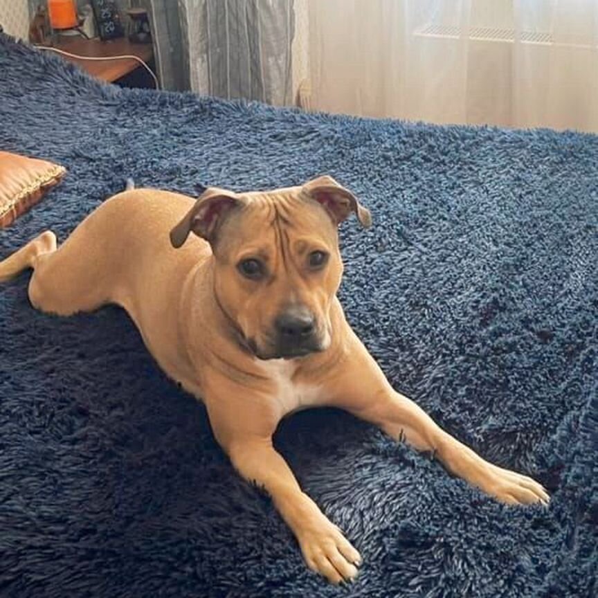 Красотулька 2 года