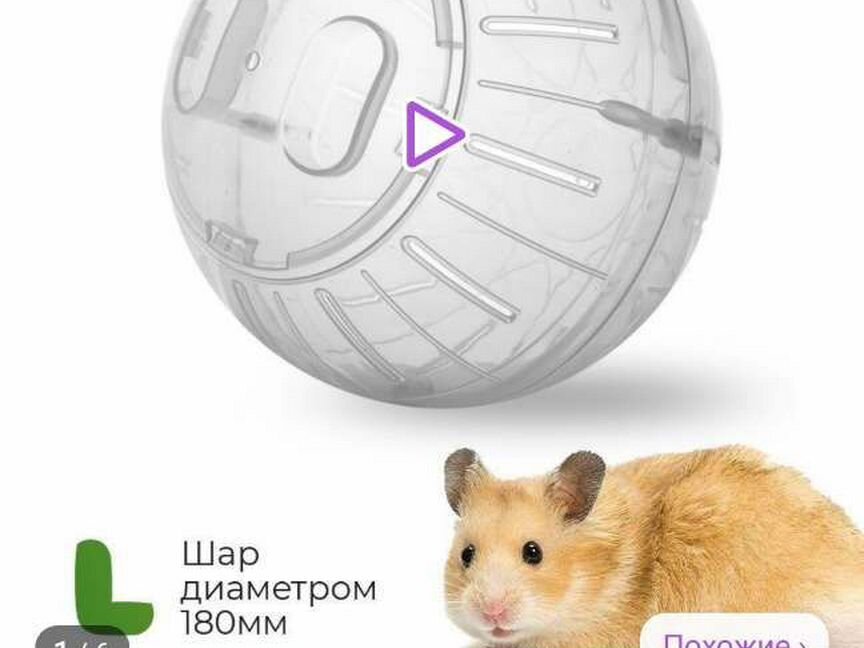 Прогулочное колесо