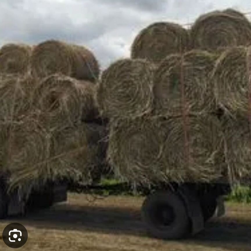 Продам сено в рулонах